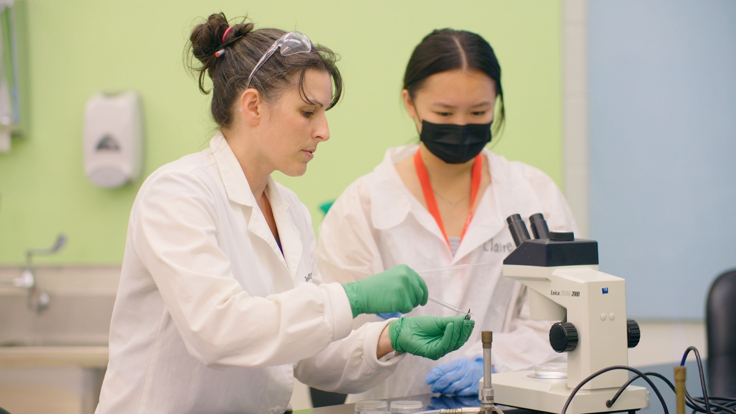 Instructors | Pre-College Program | Brown University